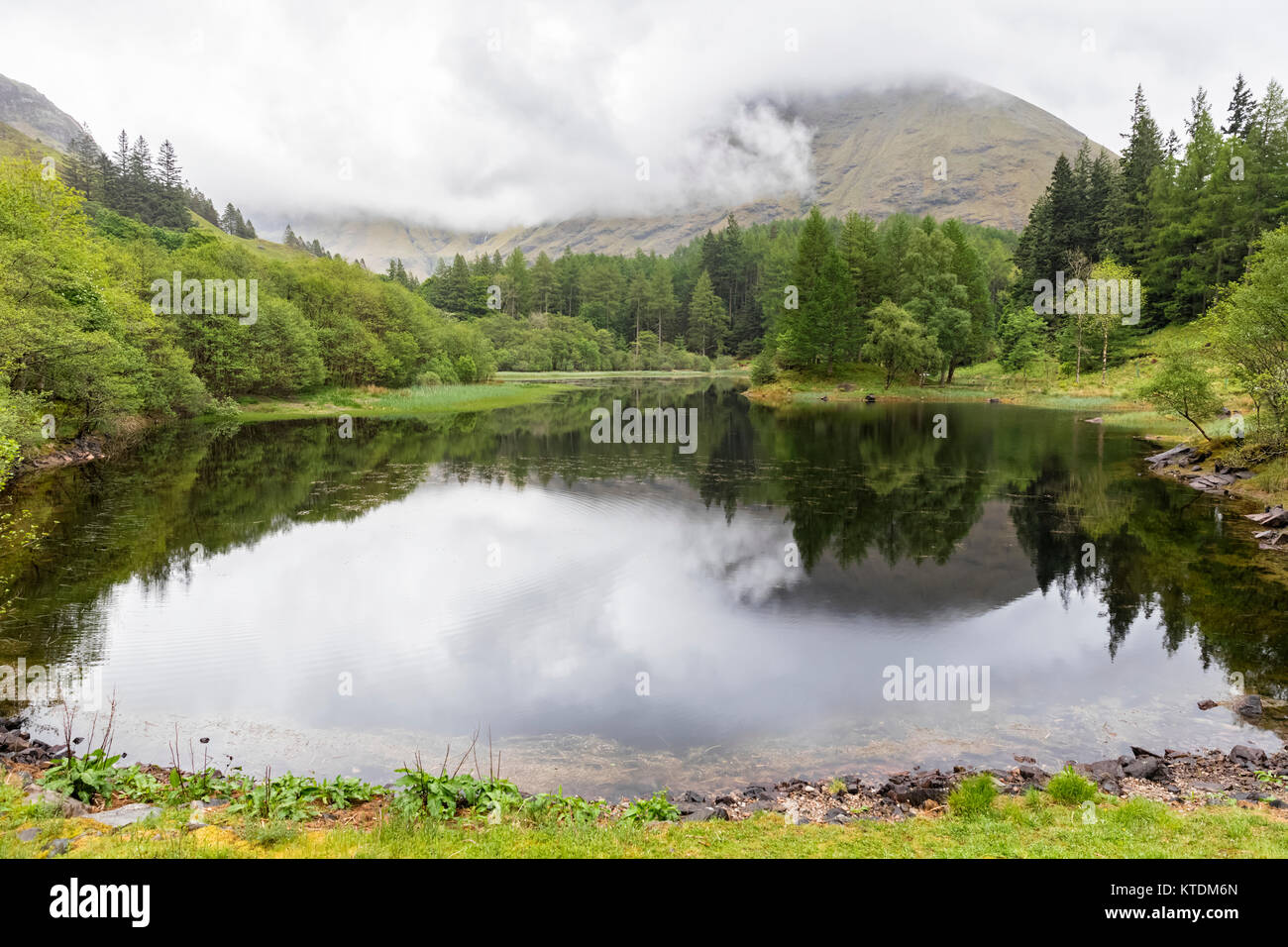 Great Britain, Scotland, Scottish Highlands, Glencoe, Torren Lochan ...