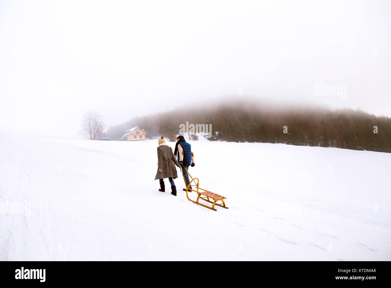 Back view of senior couple with sledge walking side by side in snow ...