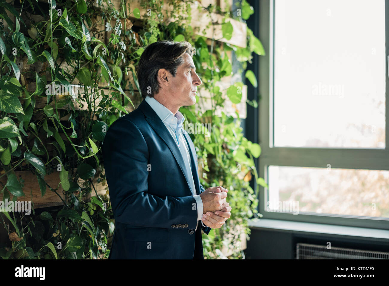 Businessman in green office looking out of window Stock Photo - Alamy