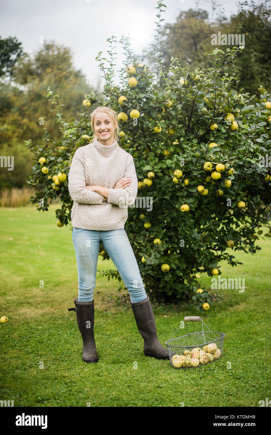 Quince tree full length hi-res stock photography and images - Alamy
