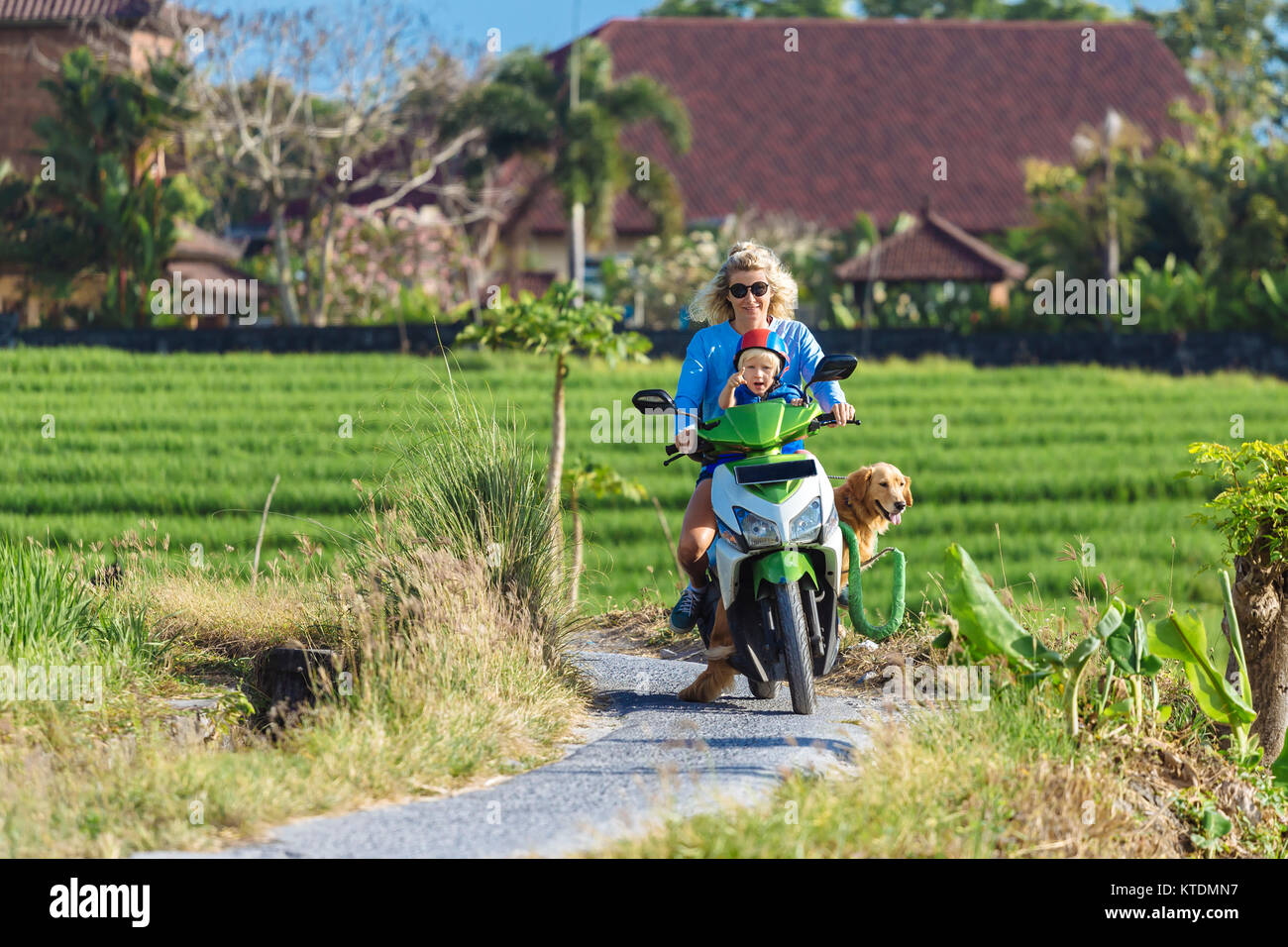 Woman with child and dog riding motor scooter on country lane Stock ...