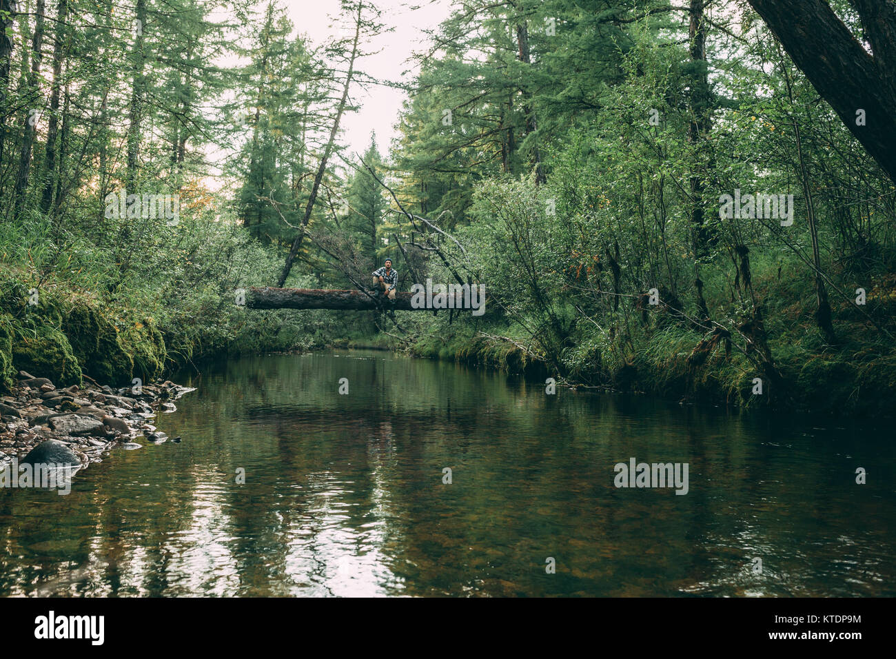Man sitting on log above river in forest Stock Photo - Alamy