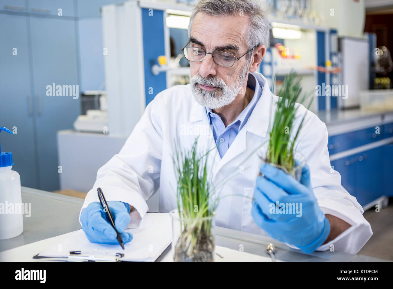 Scientist in lab examiming plant and taking notes Stock Photo - Alamy