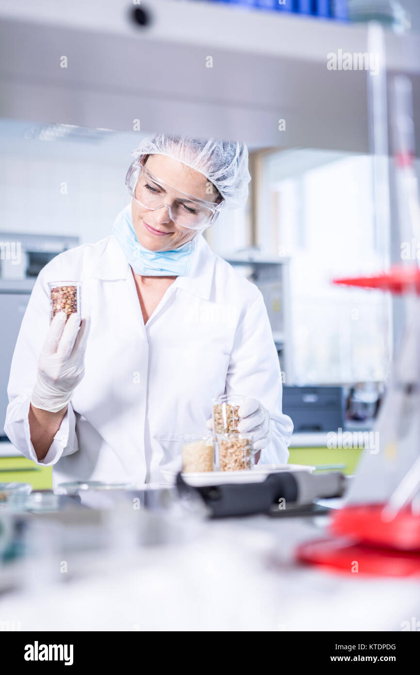 Scientist in lab examining seed samples Stock Photo - Alamy
