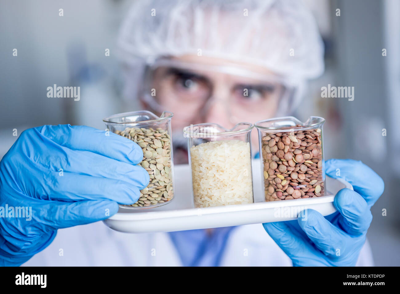 Scientist in lab examining food samples Stock Photo - Alamy
