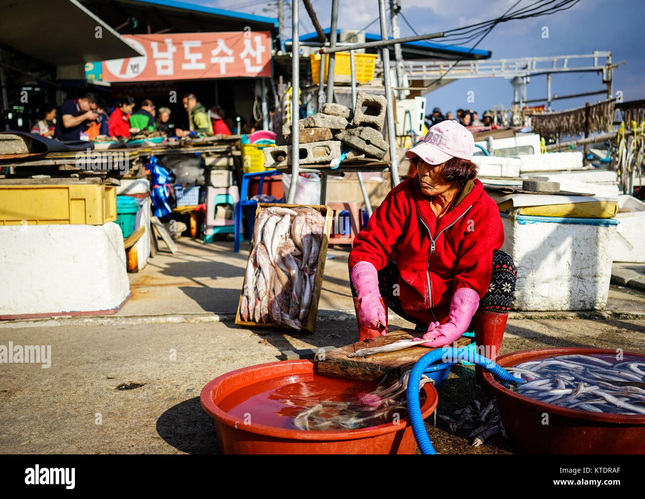Busan, Korea - Nov 2, 2014. A woman working at the fishing village in ...