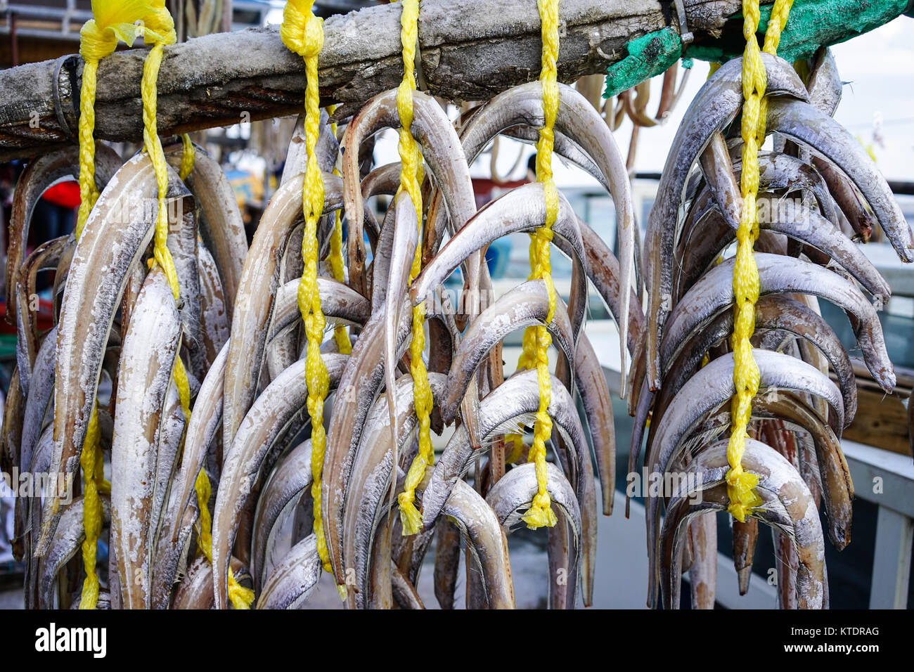 Hanging dried fish at the local village in Busan, Korea Stock Photo - Alamy
