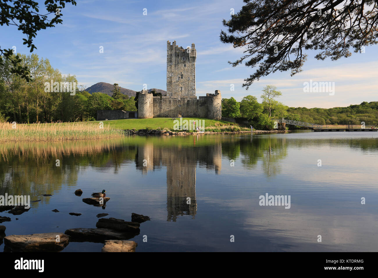 Ross Castle, Killarney, Co. Kerry, Ireland Stock Photo - Alamy