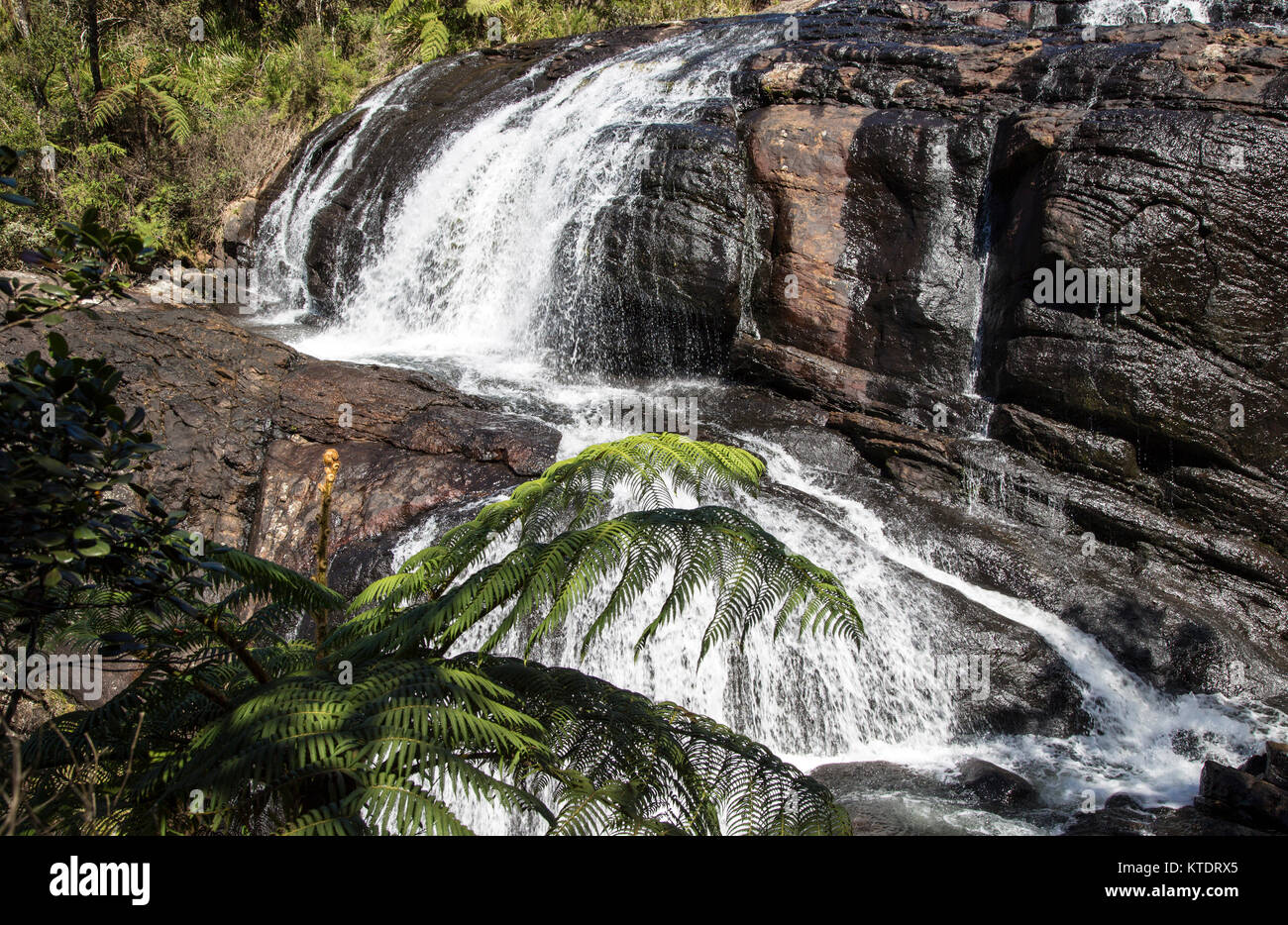 Baker's Falls waterfall, Horton Plains National Park, Central Province ...