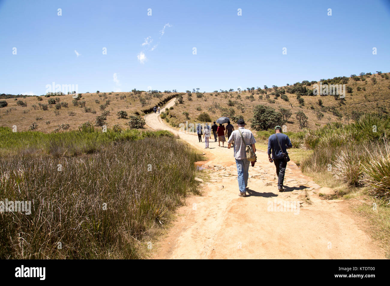 Walkers in Horton Plains national park montane grassland environment ...