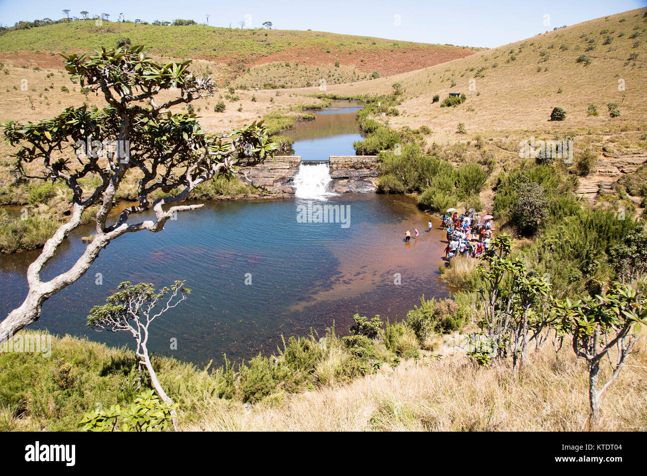 Weir and pool in the Belihul Oya river, Horton Plains National Park ...