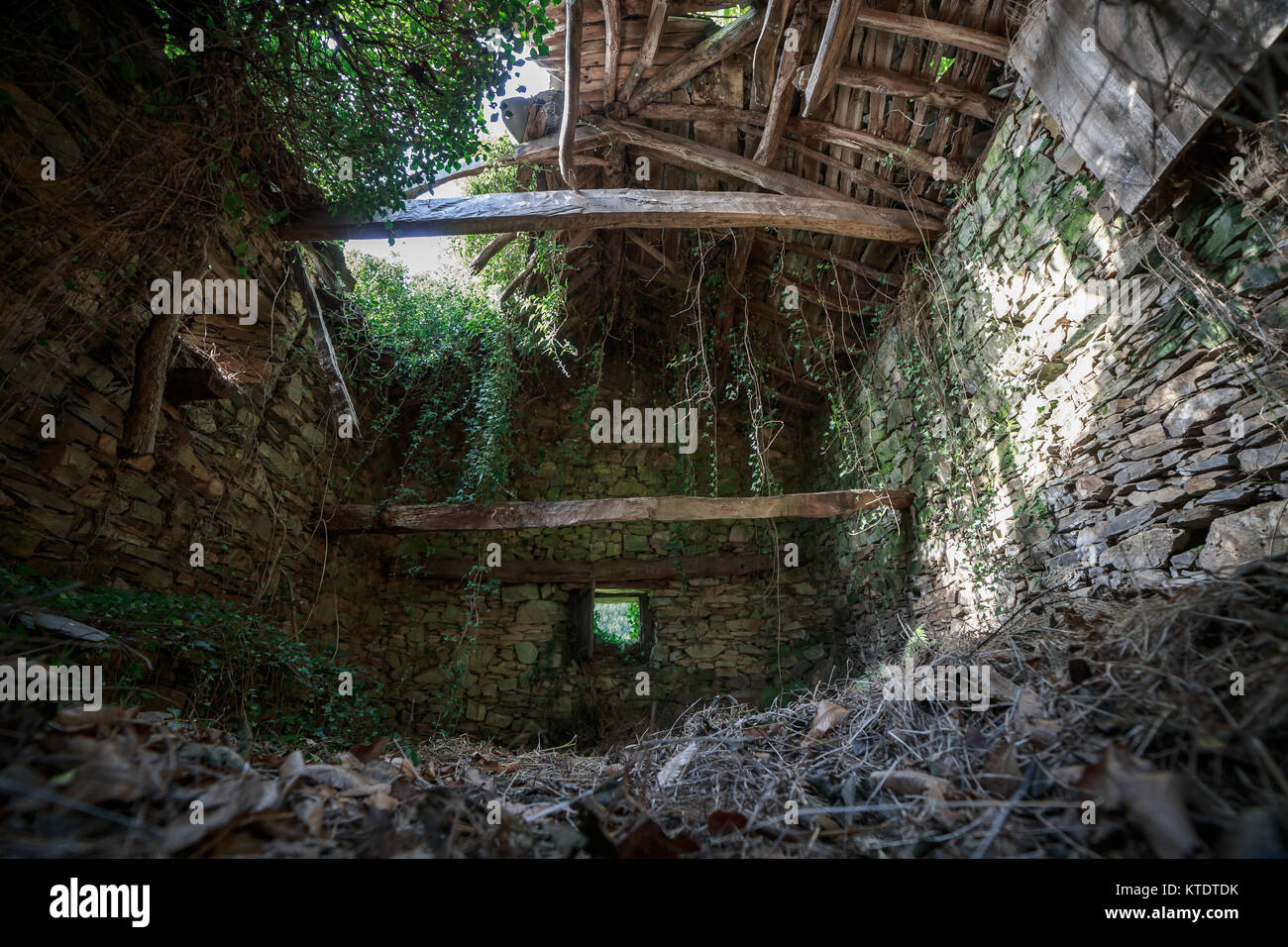 Desolated house hi-res stock photography and images - Alamy