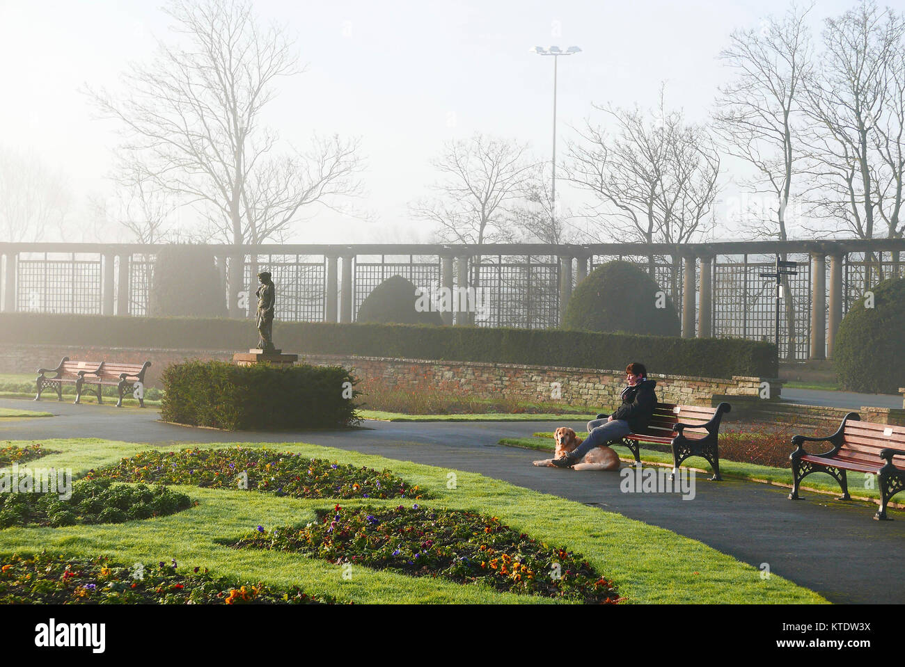 Women with labrador dog sat on bench in the Italian Gardens of Stanley ...
