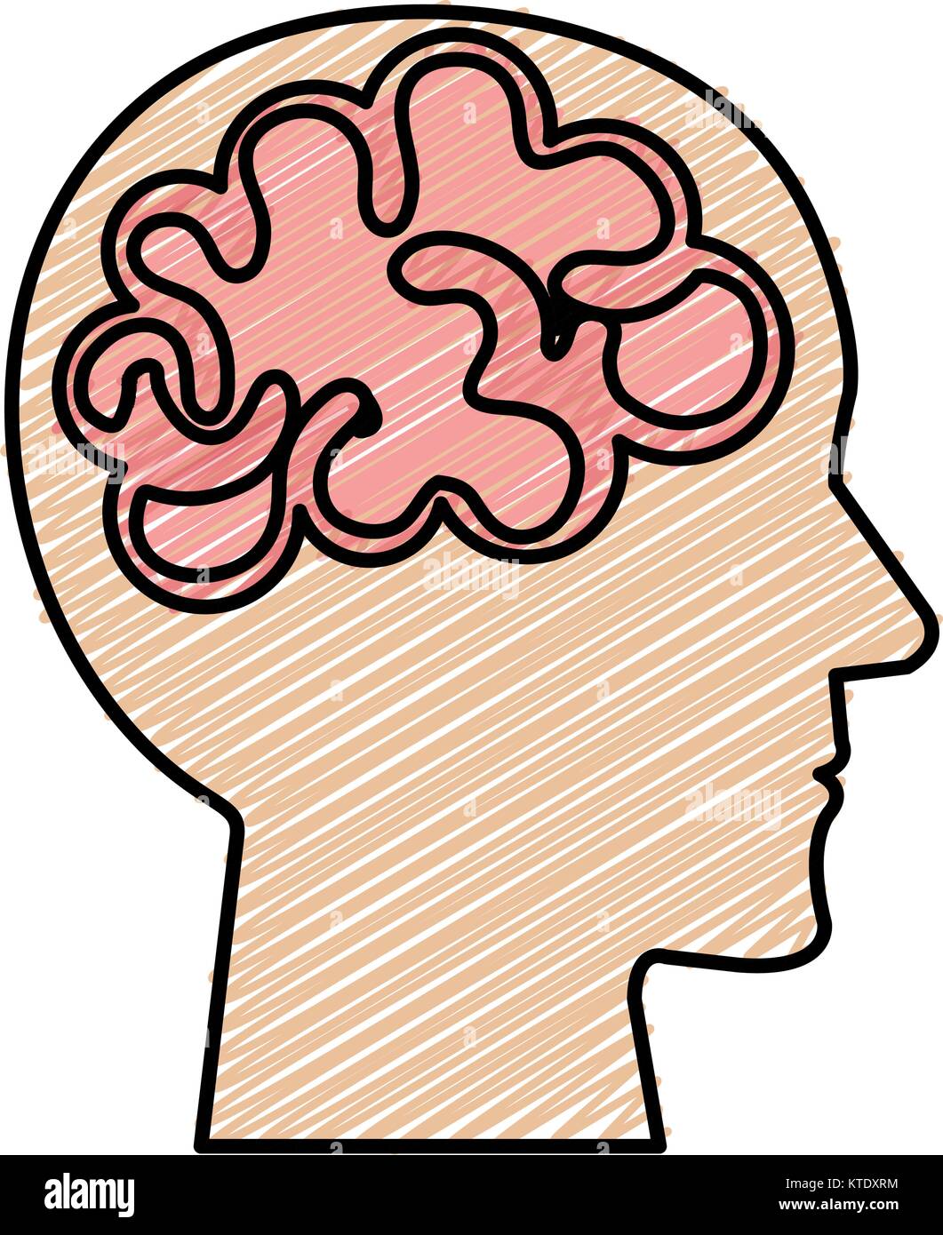 brain storming with human profile vector illustration design Stock ...