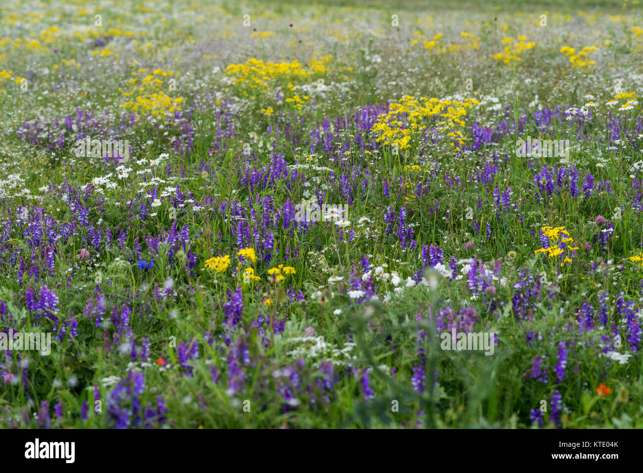 Kars plateau hi-res stock photography and images - Alamy