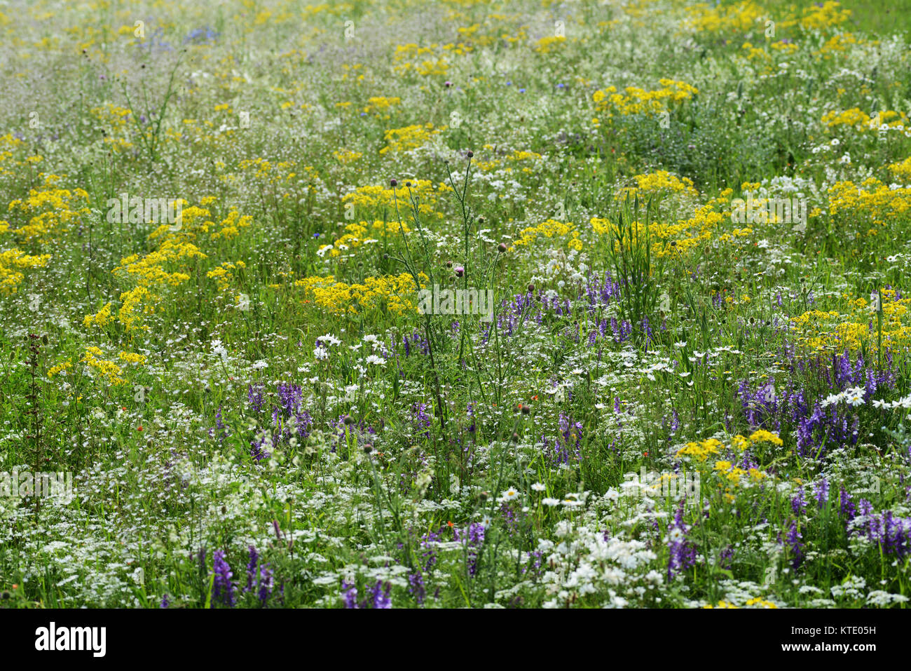 Kars plateau hi-res stock photography and images - Alamy