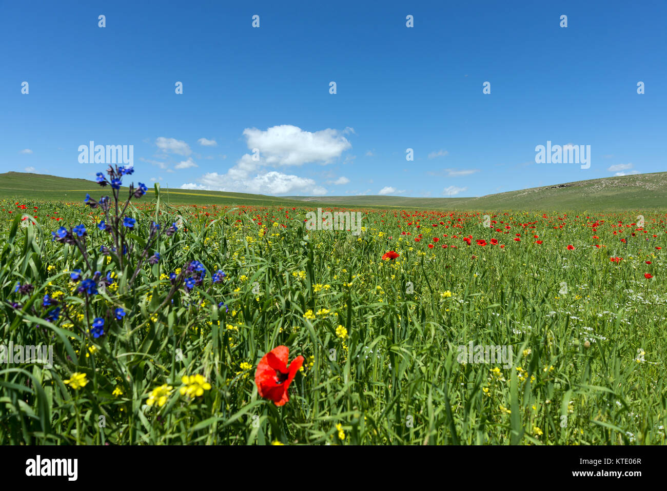 Kars plateau hi-res stock photography and images - Alamy