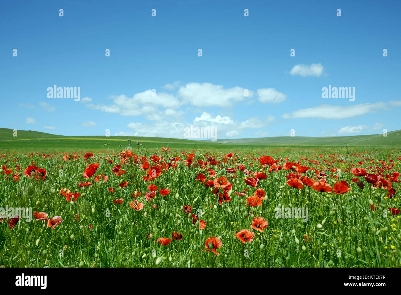 Kars plateau hi-res stock photography and images - Alamy