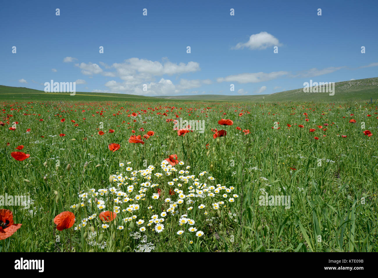 Kar plateau hi-res stock photography and images - Alamy