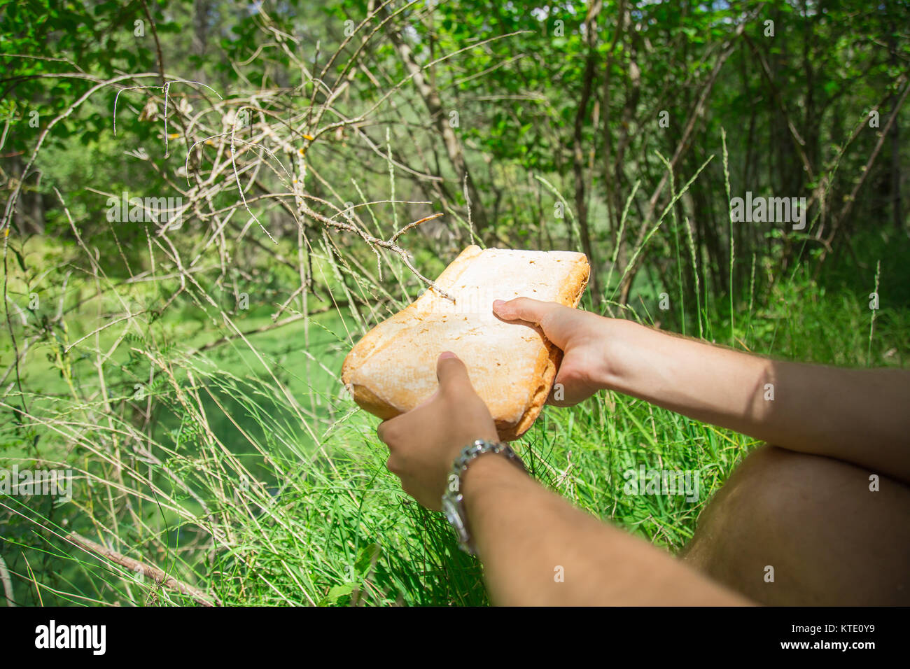 Hands of man breaking slice of bread from loaf in the forest Stock ...