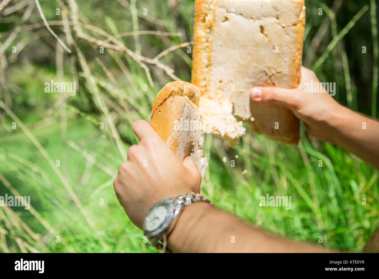 Hands of man breaking slice of bread from loaf in the forest Stock ...