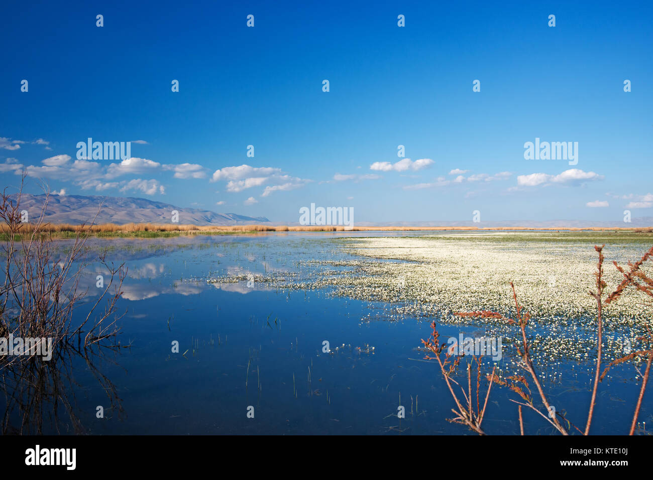 Lake Eber, situated between Cay and Bolvadin districts of Afyon, is the 12th biggest lake of ...