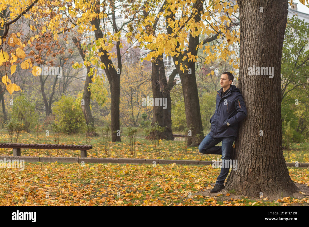 Handsome man walking in the autumn park Stock Photo - Alamy
