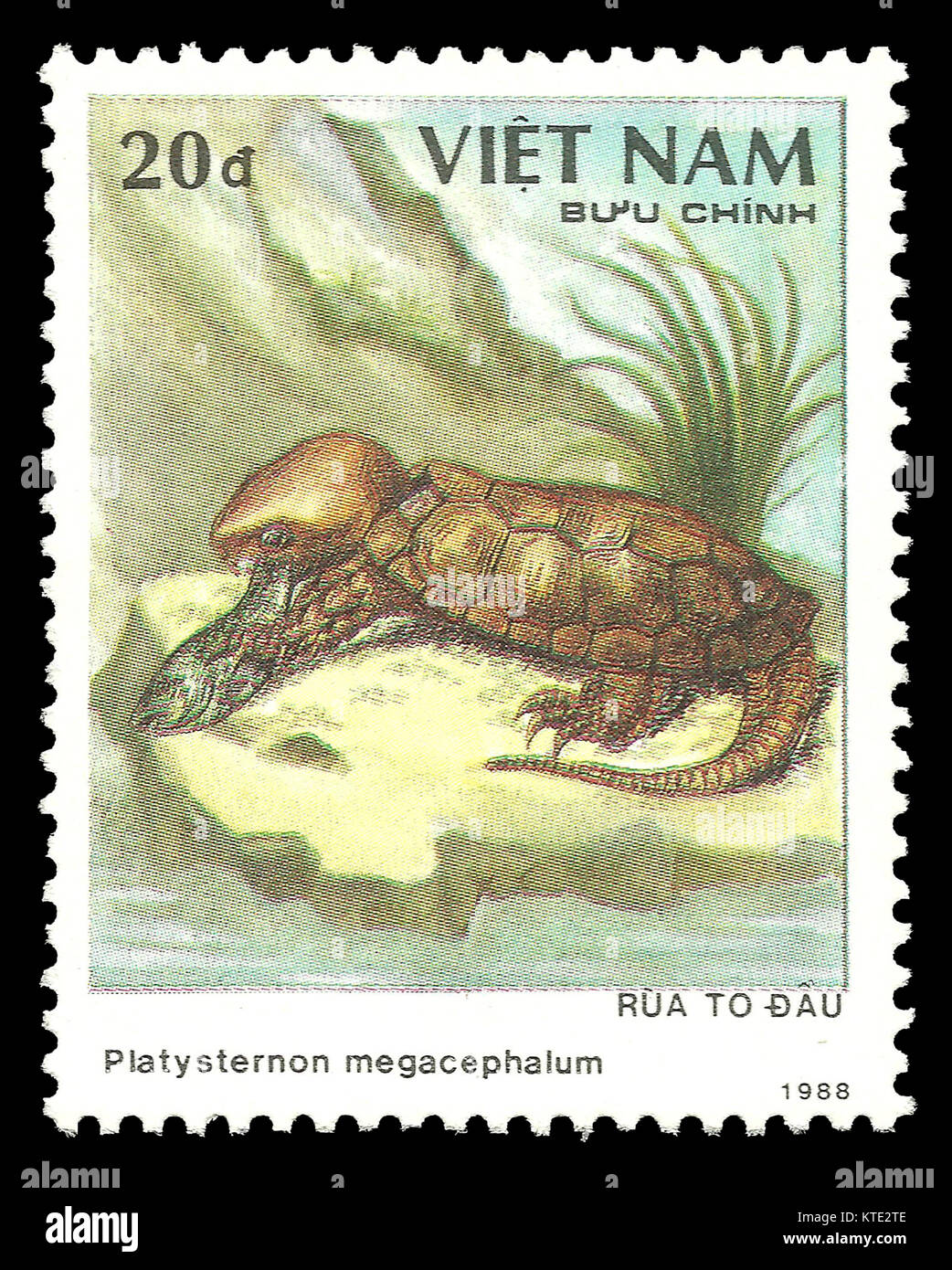 Vietnam - stamp 1988, Color edition dedicated to Turtles, Shows Asian ...