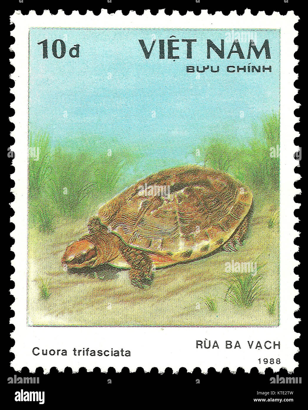 Vietnam - stamp 1988, Multicolor edition dedicated to Turtles, Shows ...