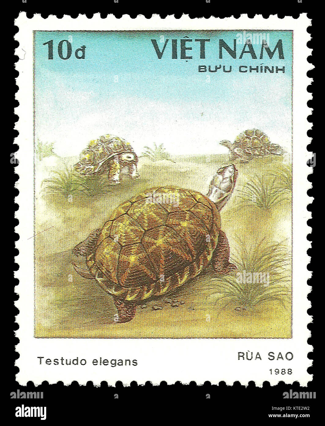 Vietnam - stamp 1988, Multicolor edition dedicated to Turtles, Shows ...