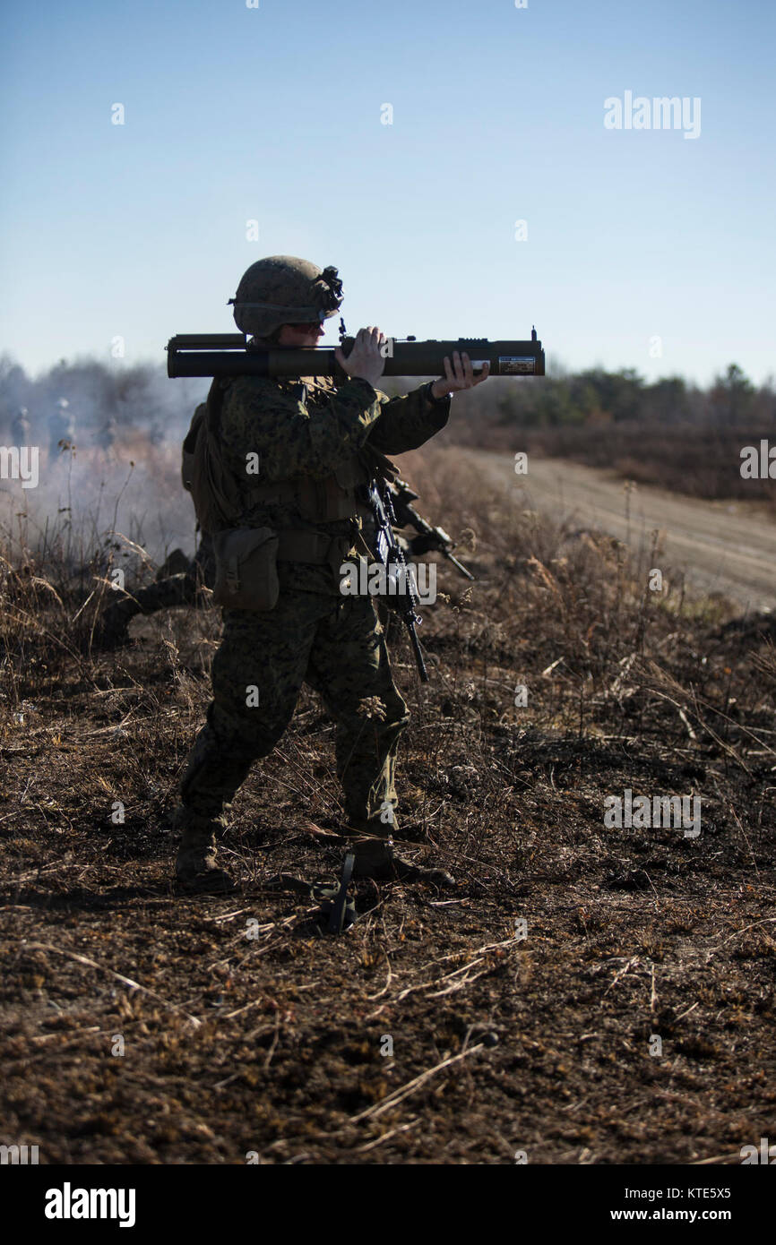 A U.S. Marine with Company E., 2nd Battalion, 8th Marine Regiment ...