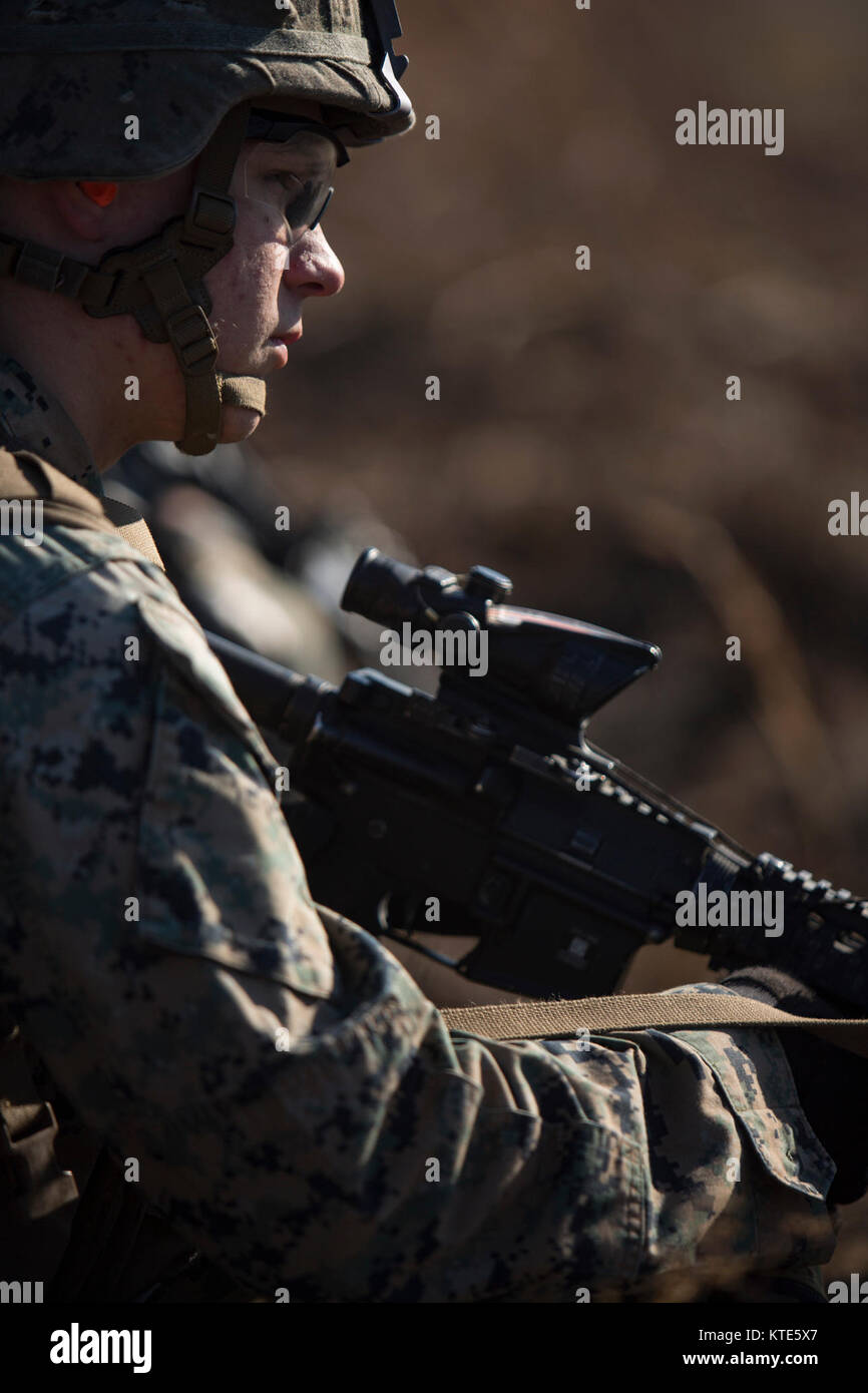 U.S. Marines with Company E., 2nd Battalion, 8th Marine Regiment ...