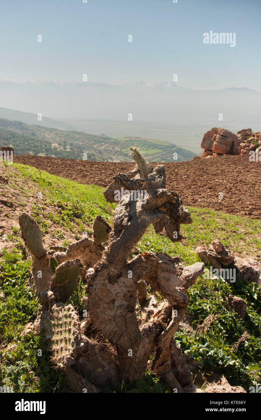 Middle atlas mountain landscape in spring outside of Marrakesh, Morocco ...