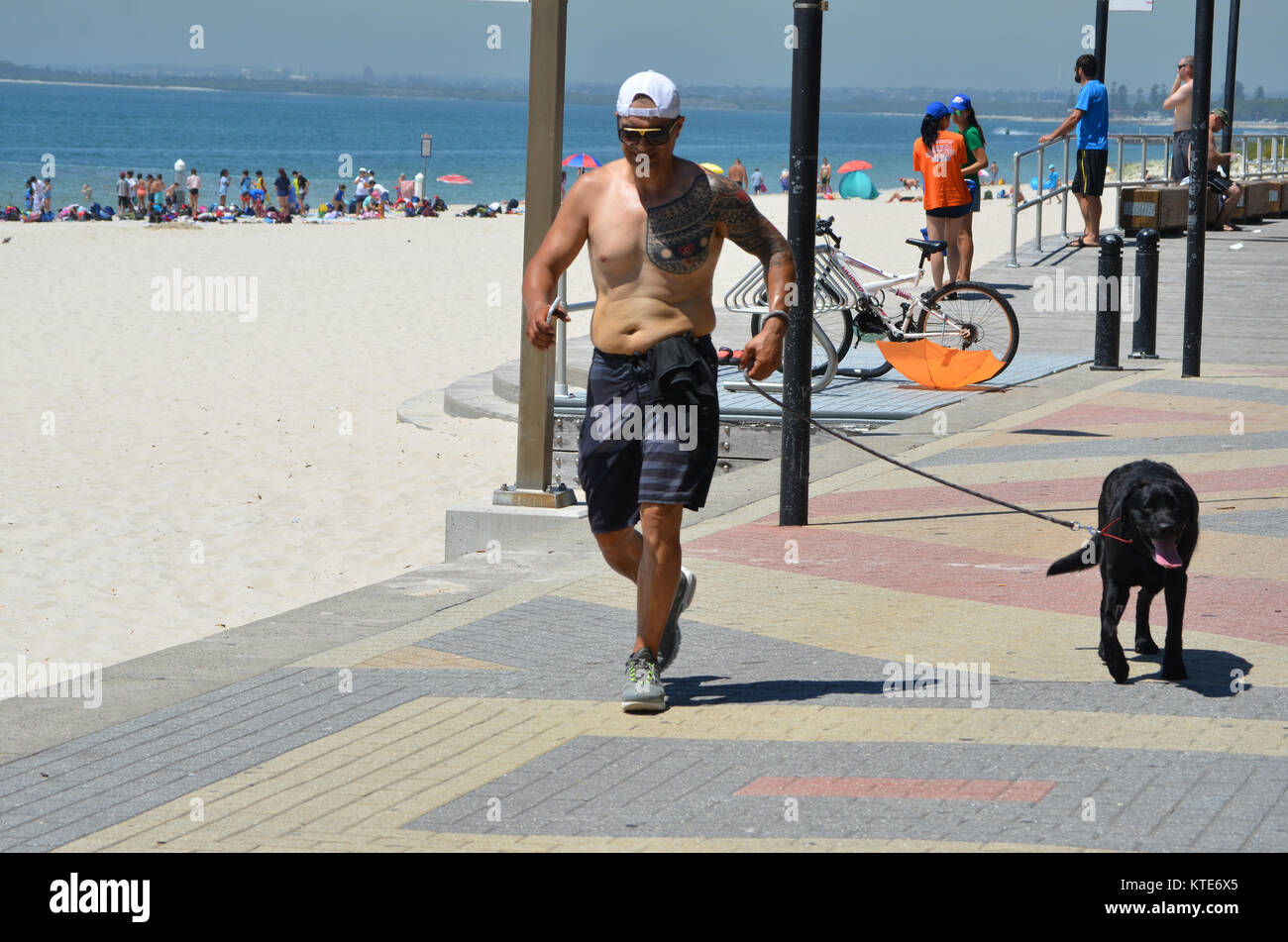 Man walking his dog by the beach Stock Photo - Alamy