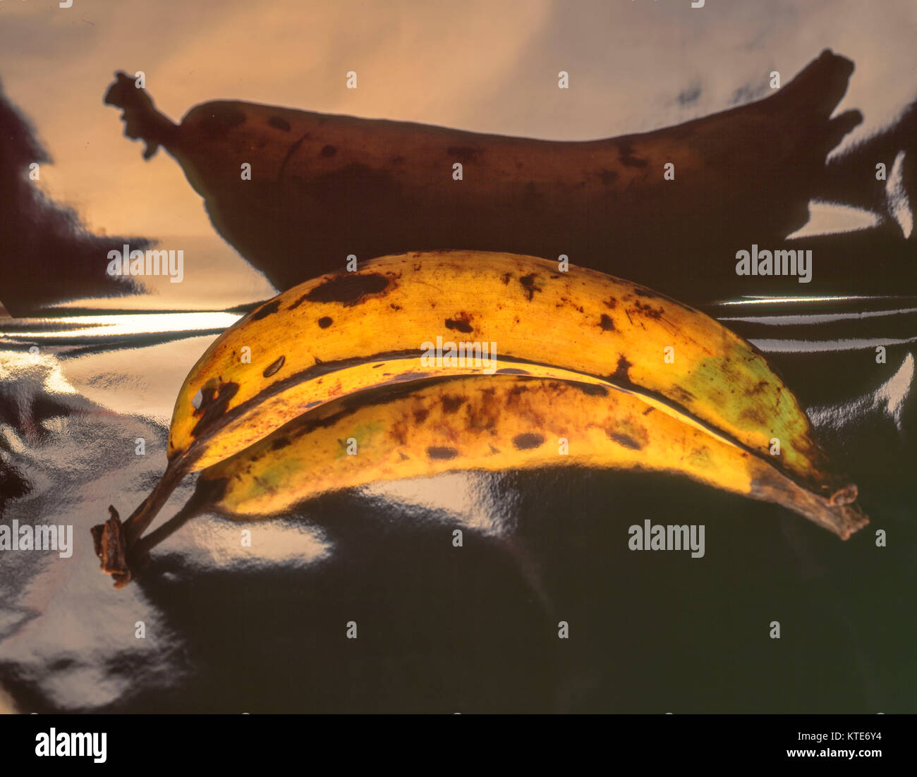 Jamaican plaintain hi-res stock photography and images - Alamy