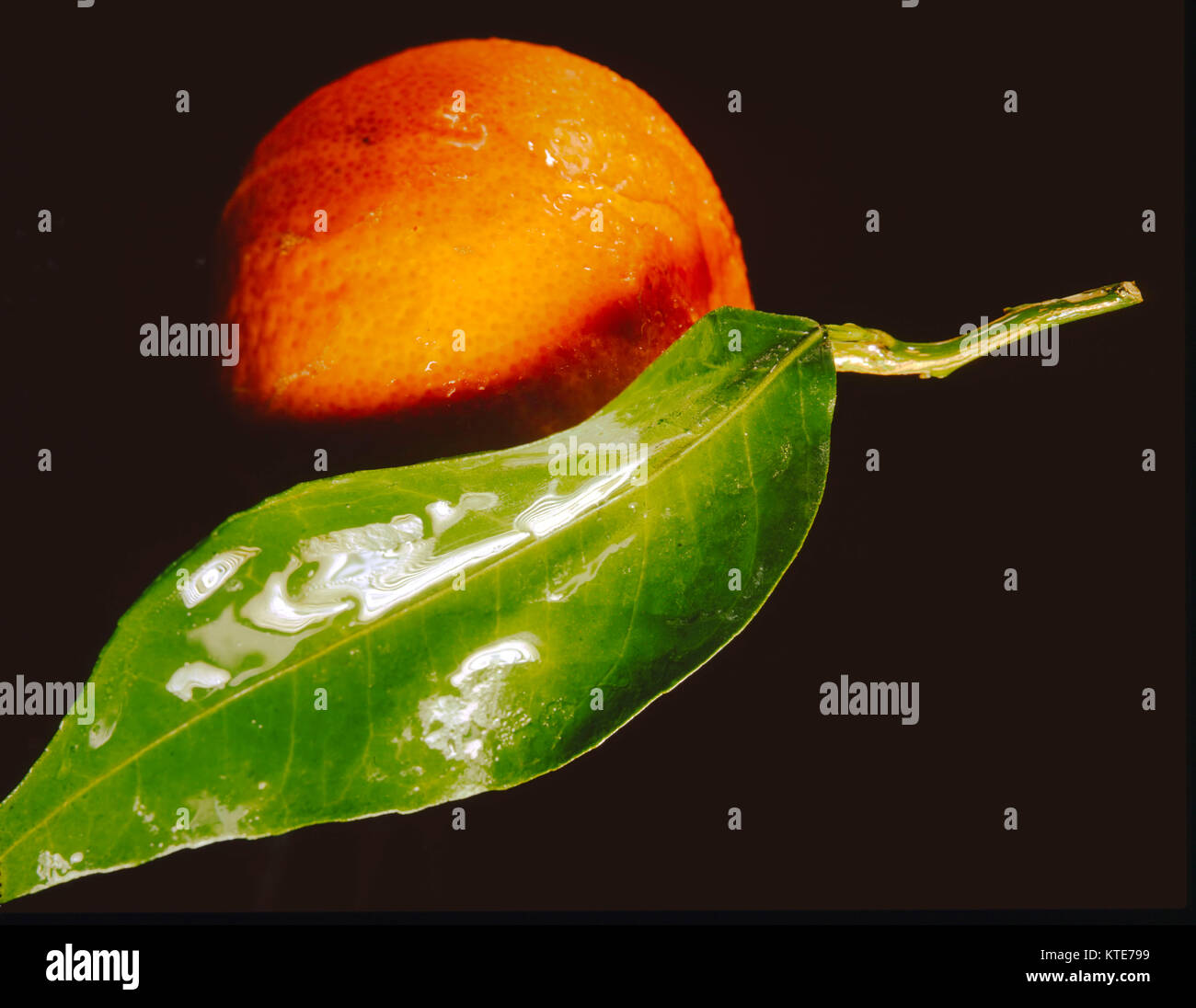 Tangerine and leaf still life Stock Photo - Alamy