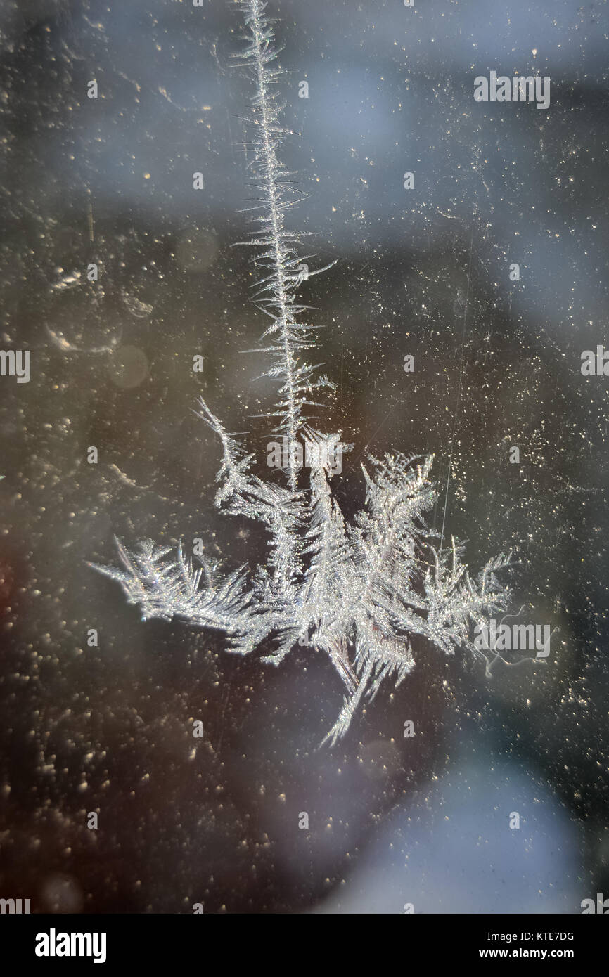 Ice flower on the window Stock Photo - Alamy