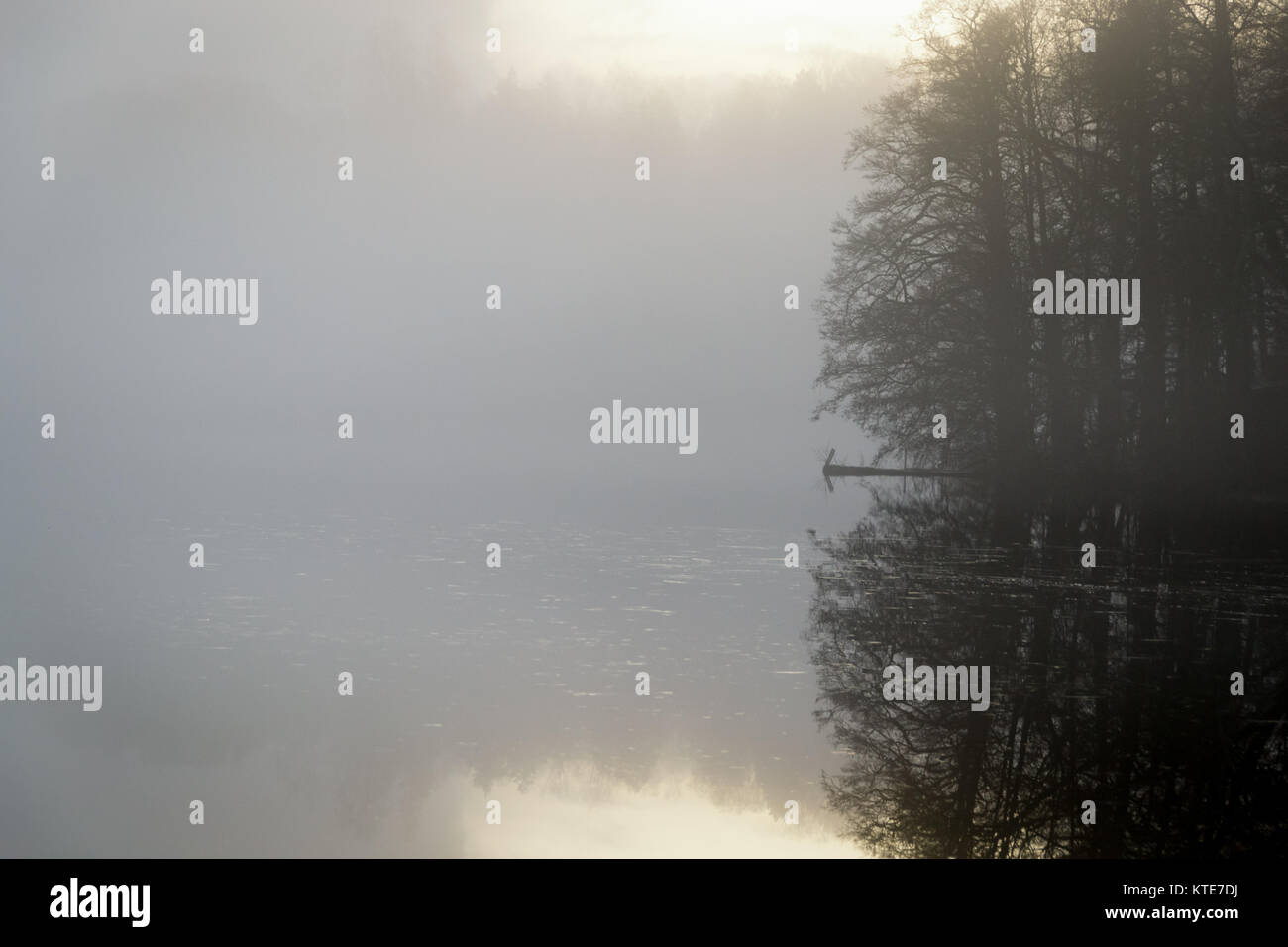 Calm night on the lake Stock Photo - Alamy