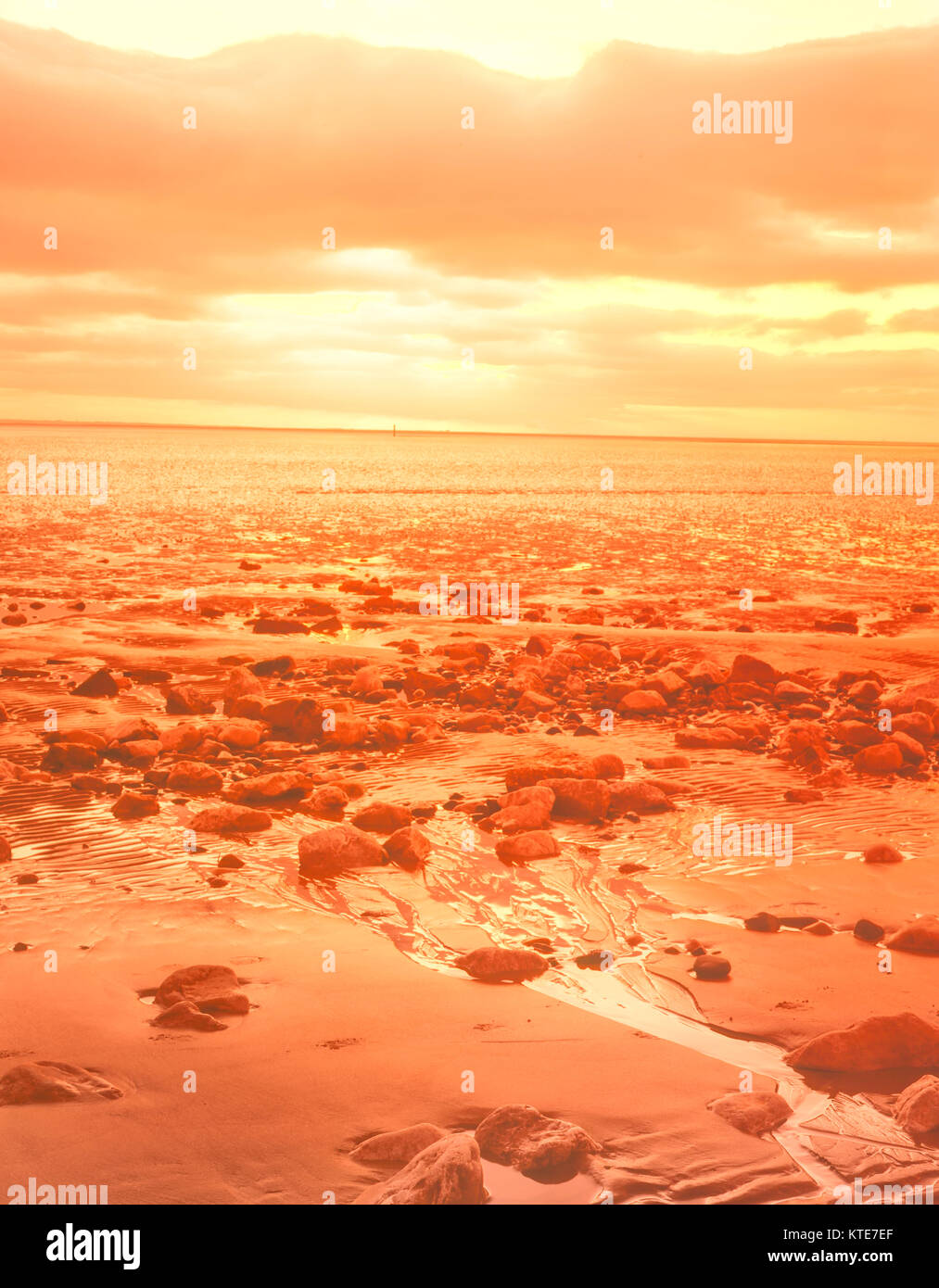 Morecambe Bay beach Special Areas of Conservation, largest intertidal ...