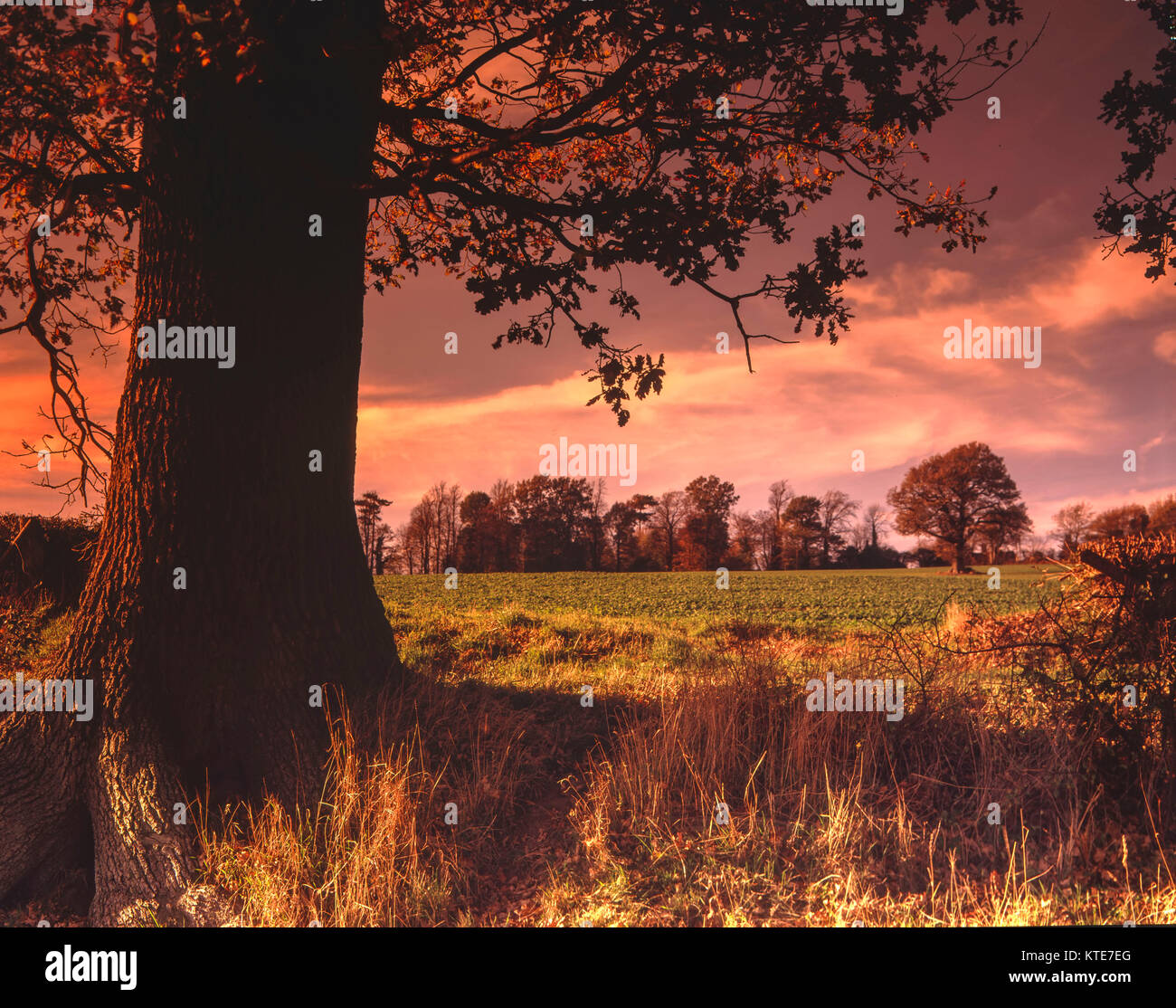 Autumn landscape with farmland, Kent Stock Photo - Alamy