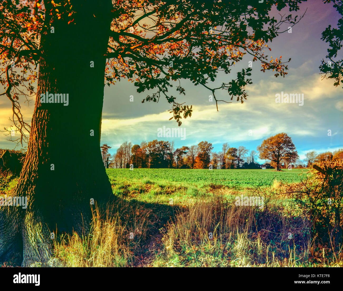 Autumn landscape with farmland, Kent Stock Photo - Alamy