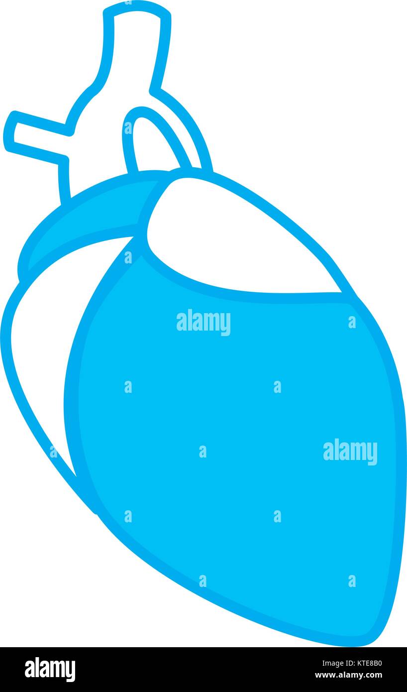 Human heart symbol Stock Vector Image & Art - Alamy