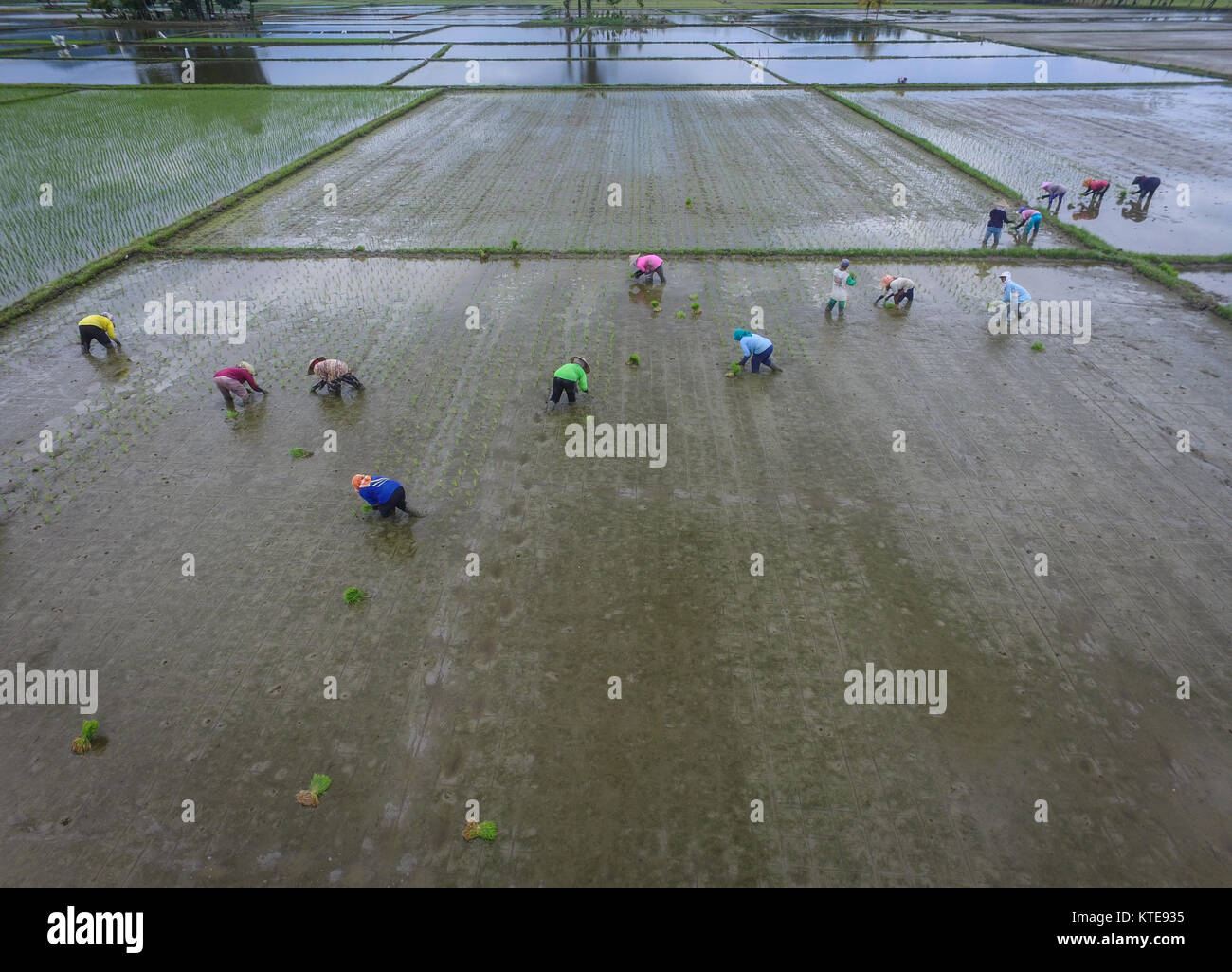 Transmigration hi-res stock photography and images - Alamy