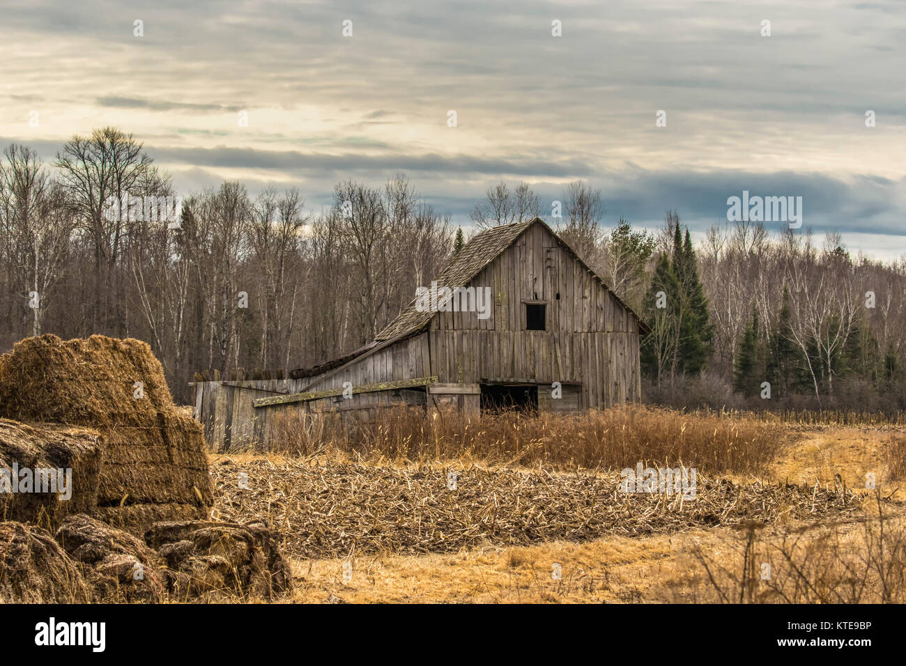 Farmstead in northern Wisconsin Stock Photo - Alamy