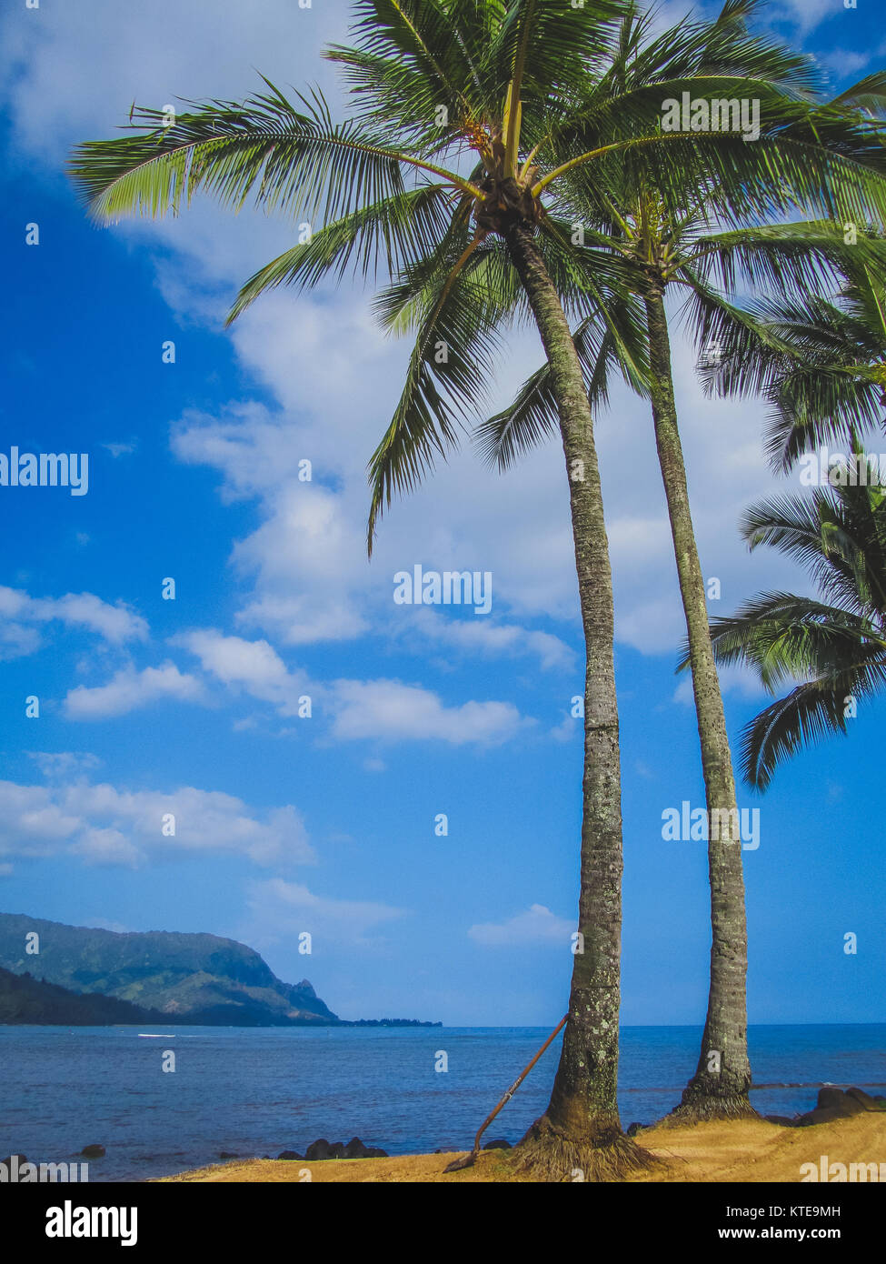 Poa a beach hi-res stock photography and images - Alamy