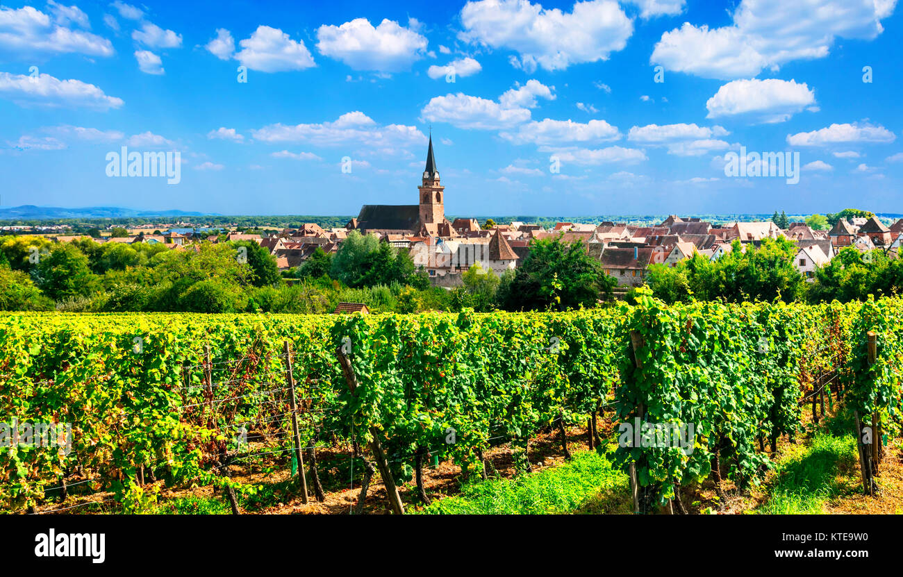 Autumn landscape of Alsace,Kayserberg village,view with vineyards ...