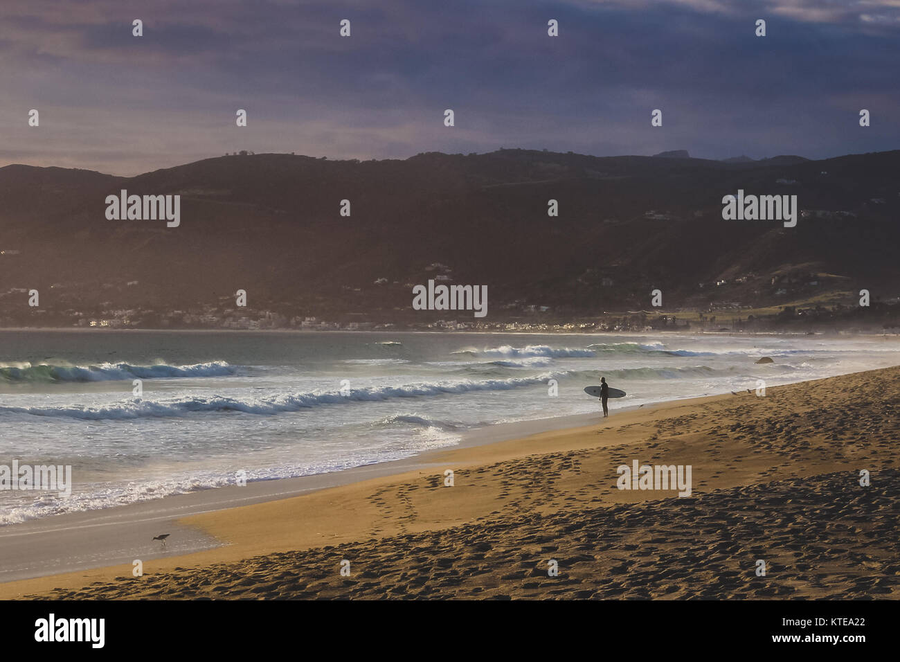 Male surfer standing on the beach holding his surfboard at Point Dume ...