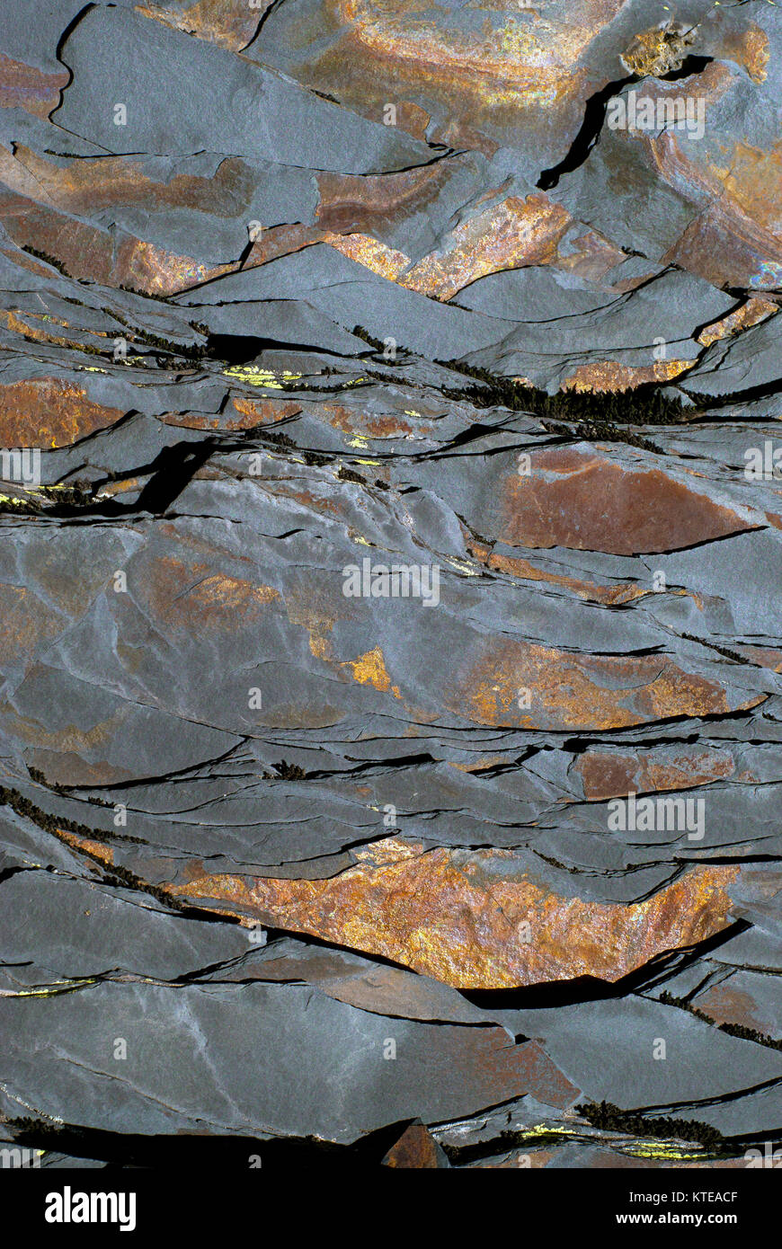 background, rock texture - dark brown natural shale with light brown ...