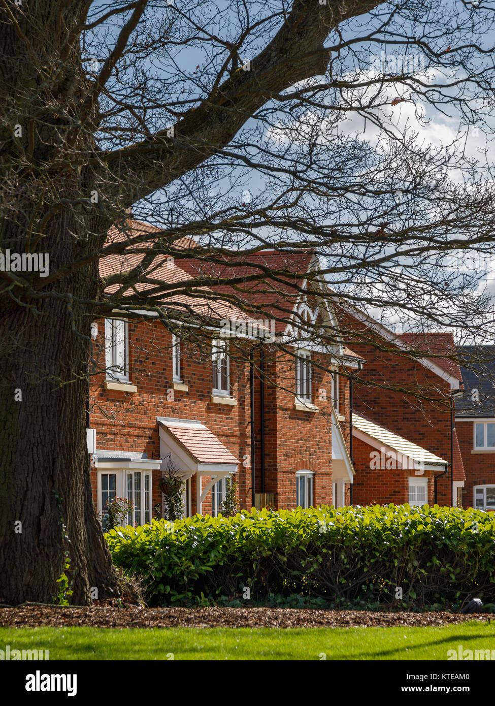 New estate house through trees. UK Stock Photo - Alamy