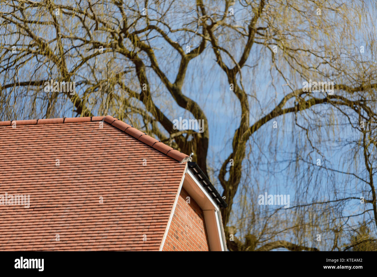Roofscape on new house on housing estate UK Stock Photo - Alamy